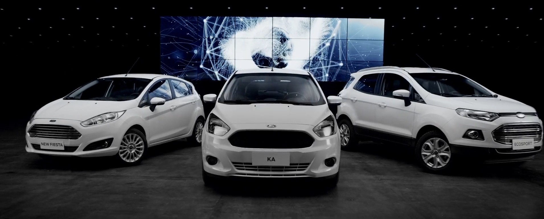 Ford Lineup | Bravo
